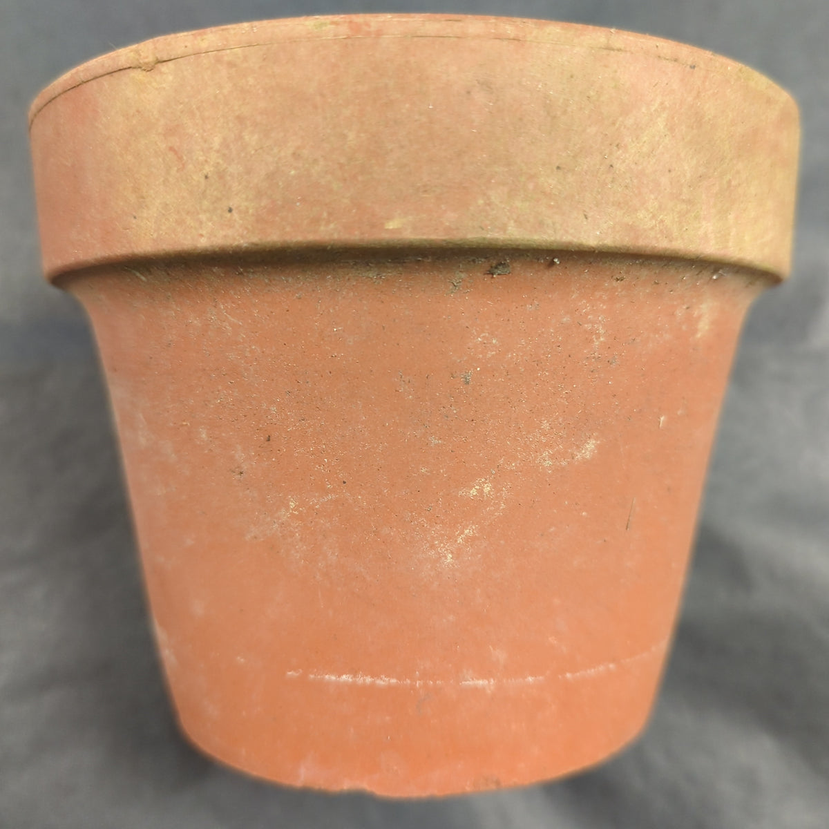 Patina Clay Pots – Lichen or Knot Plant Company LLC