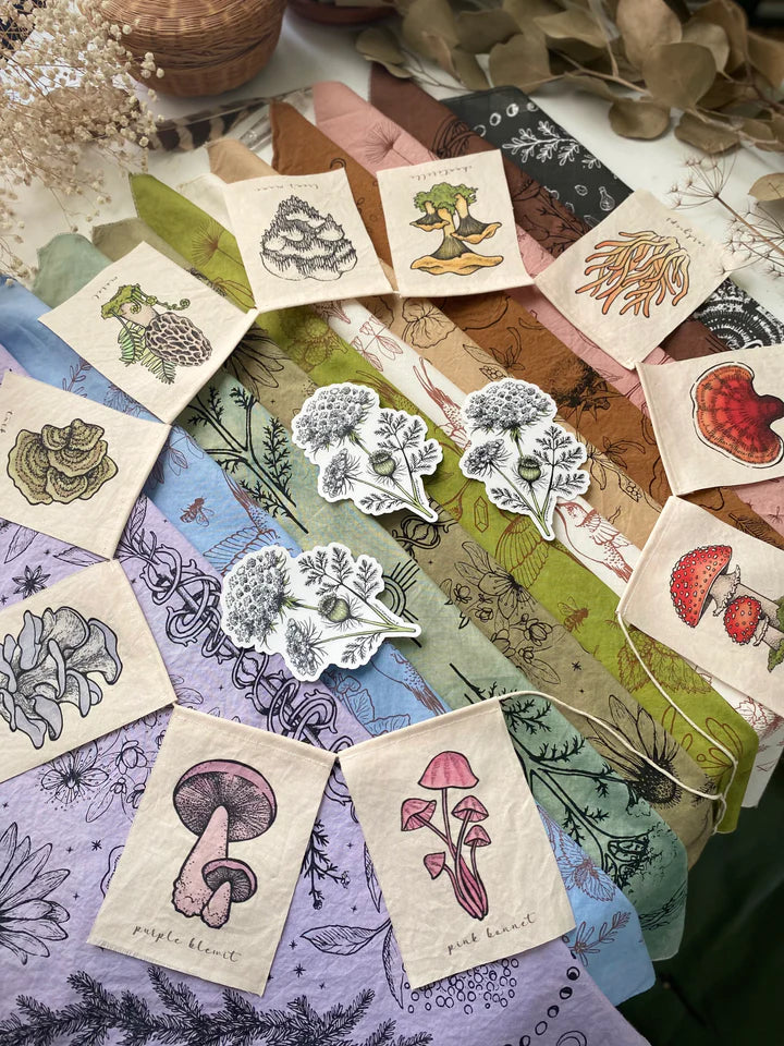 Flag Mushroom – Lichen or Knot Plant Company LLC